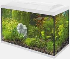 Superfish Start 150 tropical aquarium wit